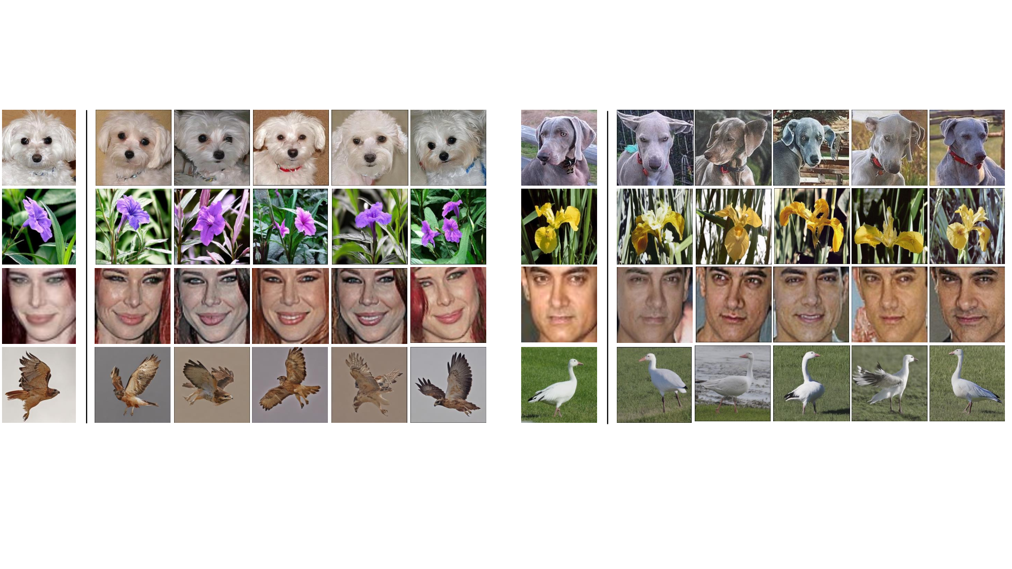 HypDAE: Hyperbolic Diffusion Autoencoders for Hierarchical Few-shot Image Generation